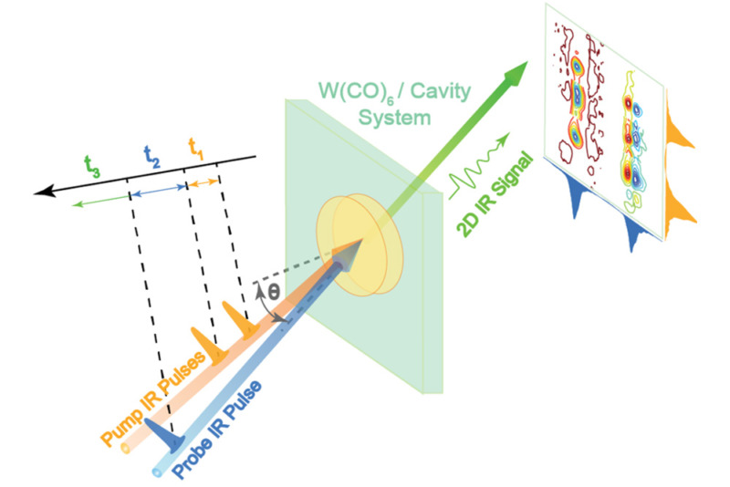 RESEARCH – XIONG GROUP
