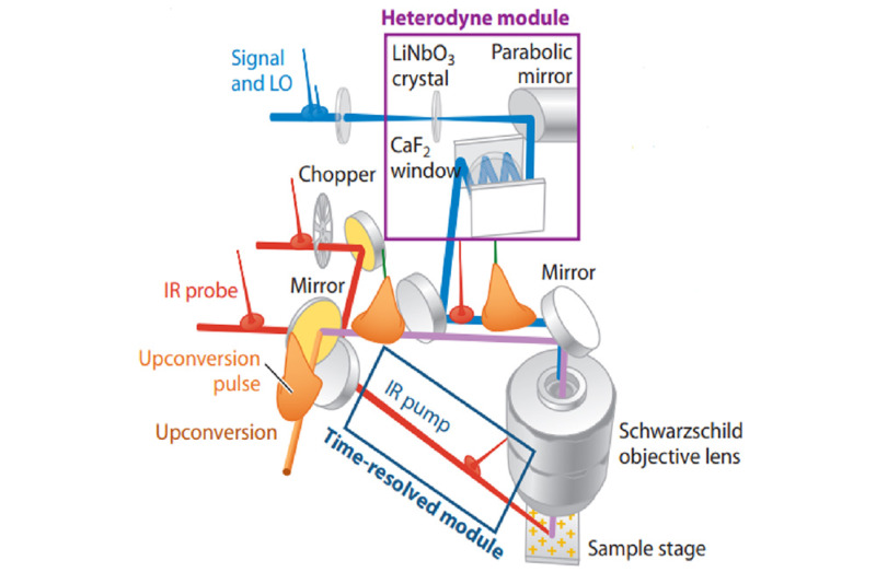 RESEARCH – XIONG GROUP