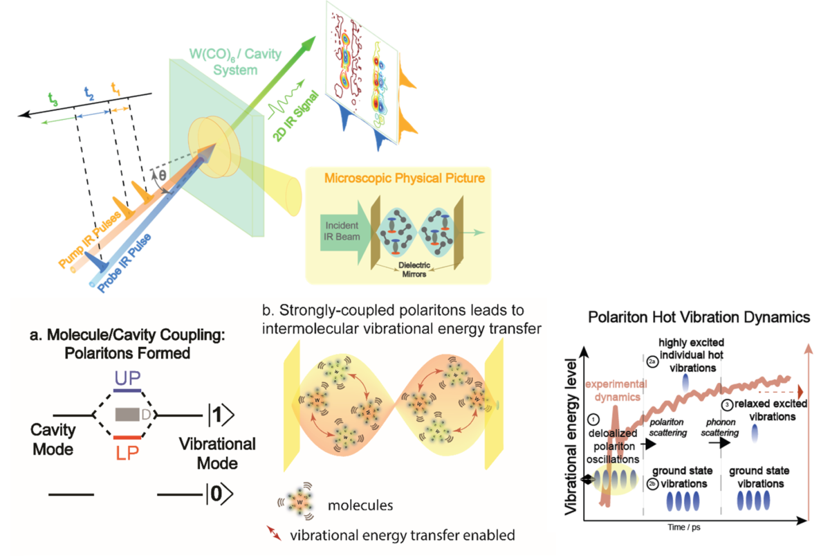 Polariton Chemistry – XIONG GROUP