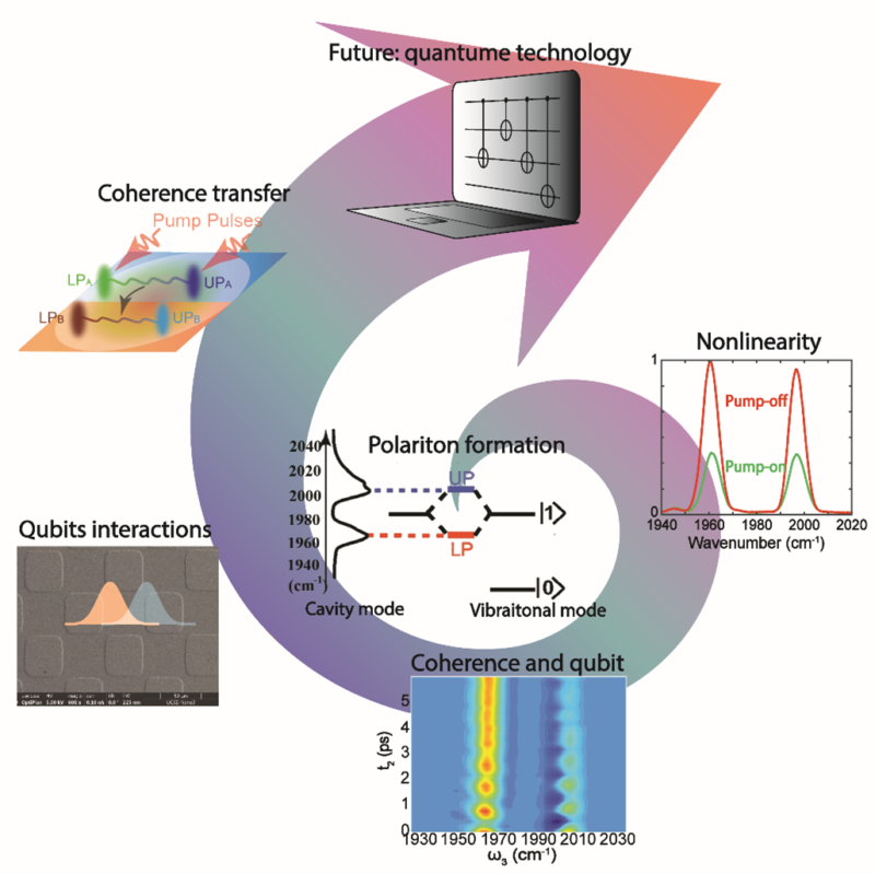Polariton Chemistry – XIONG GROUP