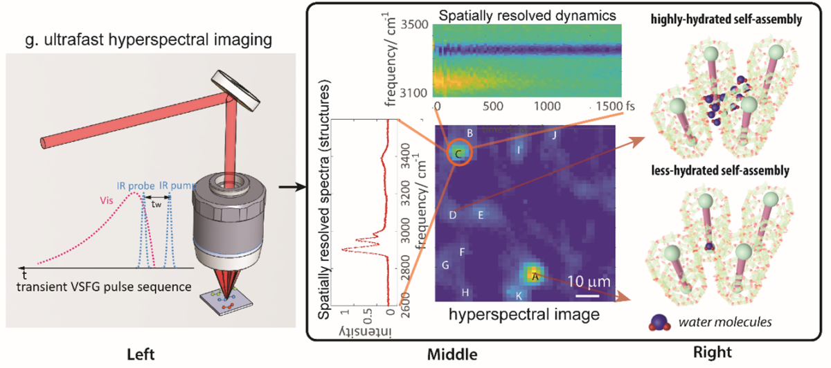 Hyperspectral chemical imaging development and its application to soft ...